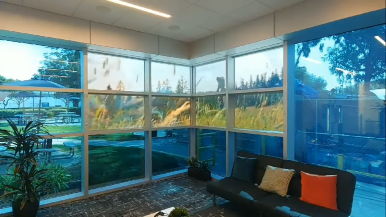 Transparent OLED Window by View | OLED.Transparent - LG Display Newsroom